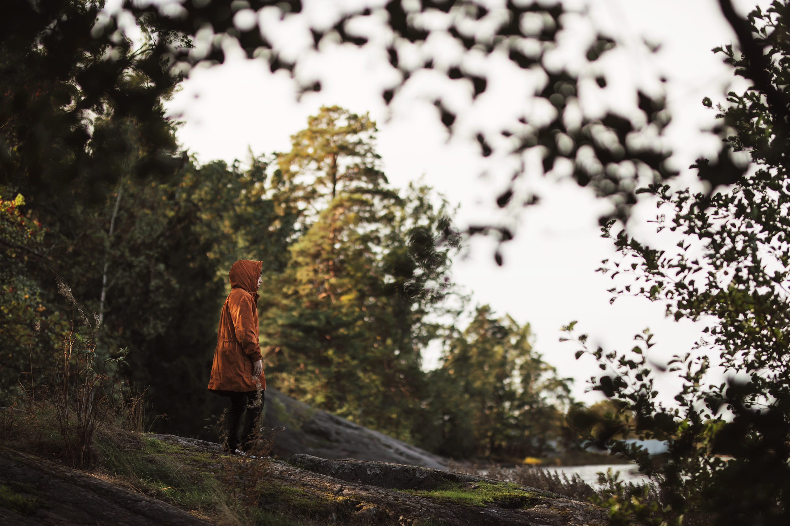 STJM mukana Suomen luonnon monimuotoisuuden strategian ja ...